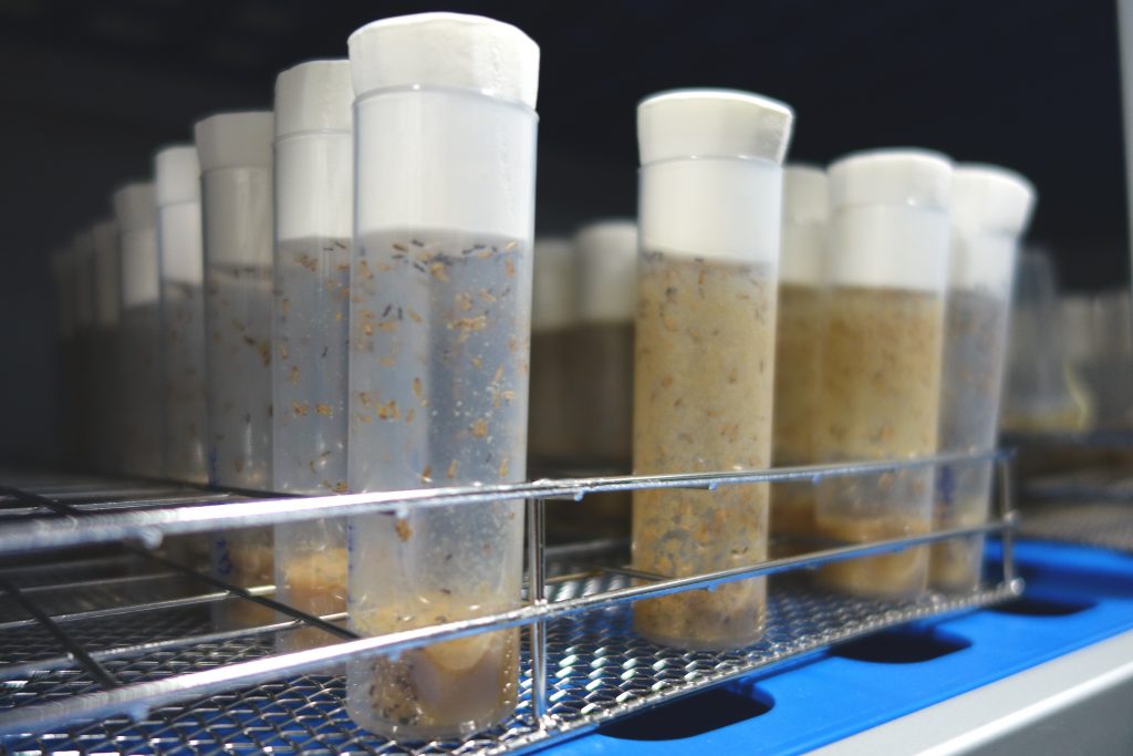 Aralab Insect Rearing Room interior 4 | Analitic Laboratory