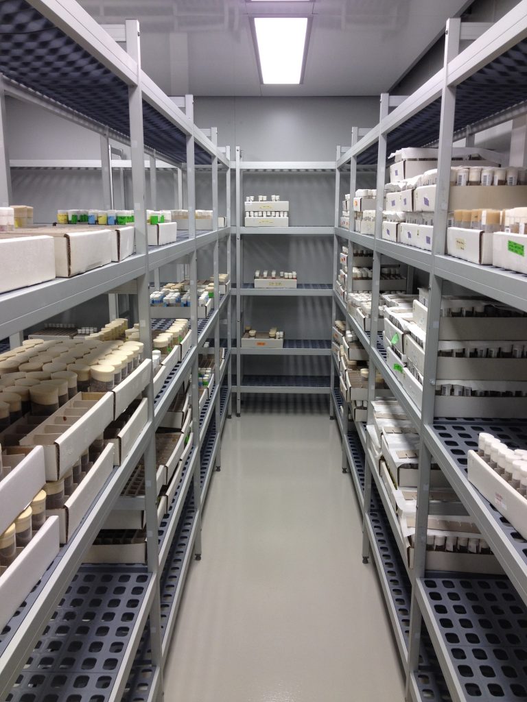 Aralab – Insect Rearing Rooms at Champalimaud Foundation (1) | Analitic ...